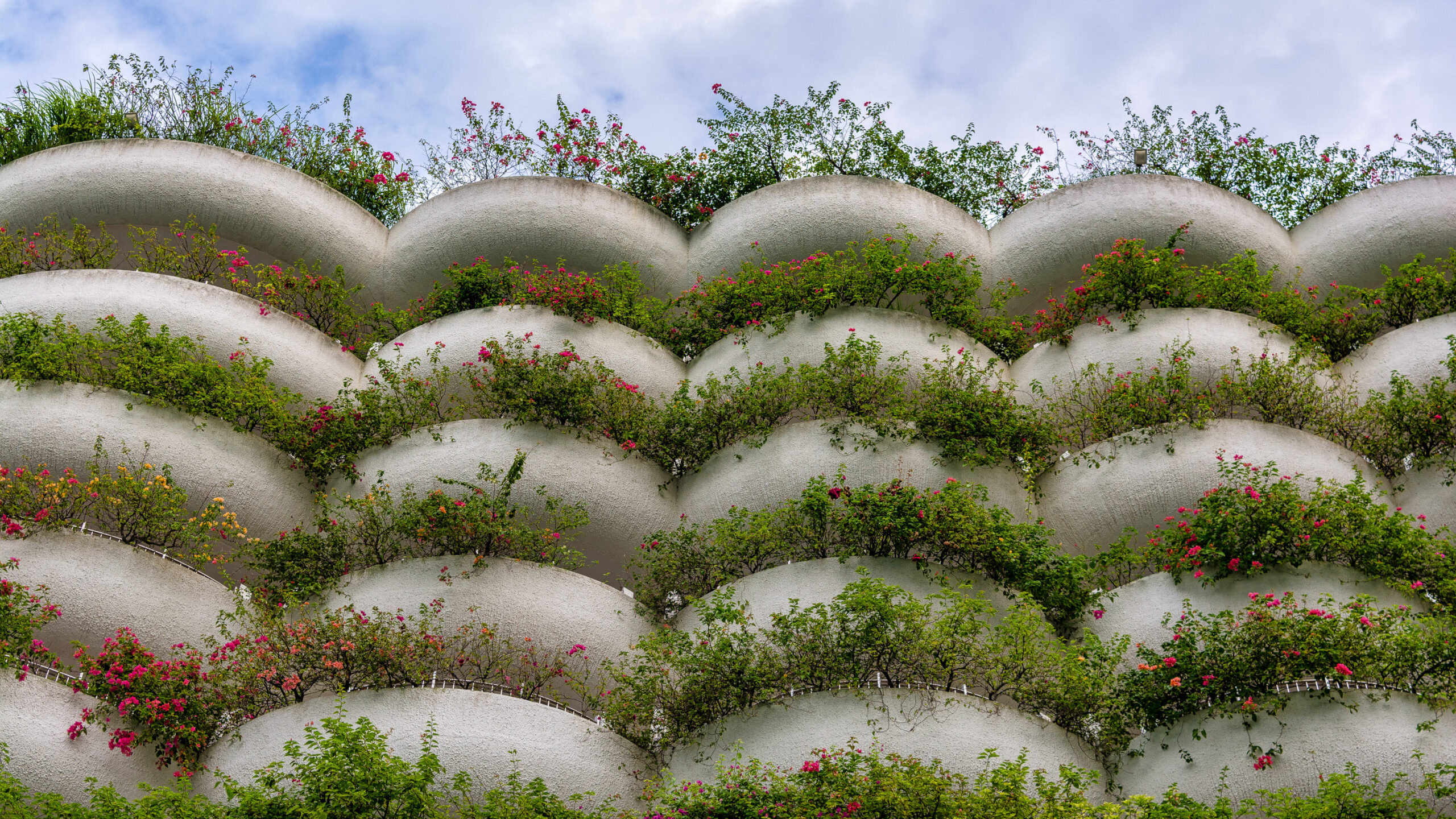 WATG, an architectural firm that has witnessed the evolution of the ...