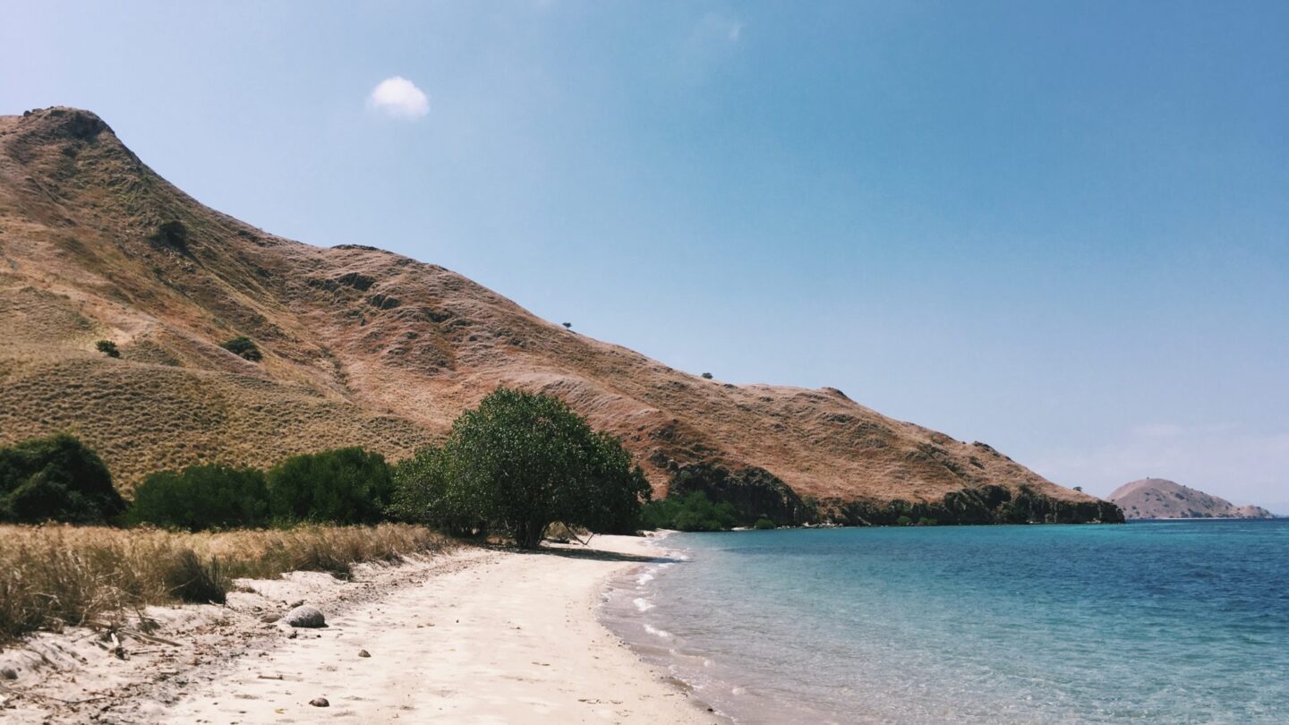 Flores Island | WATG