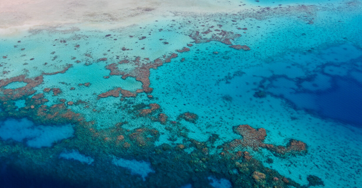 The making of the world's most ambitious master plan | WATG