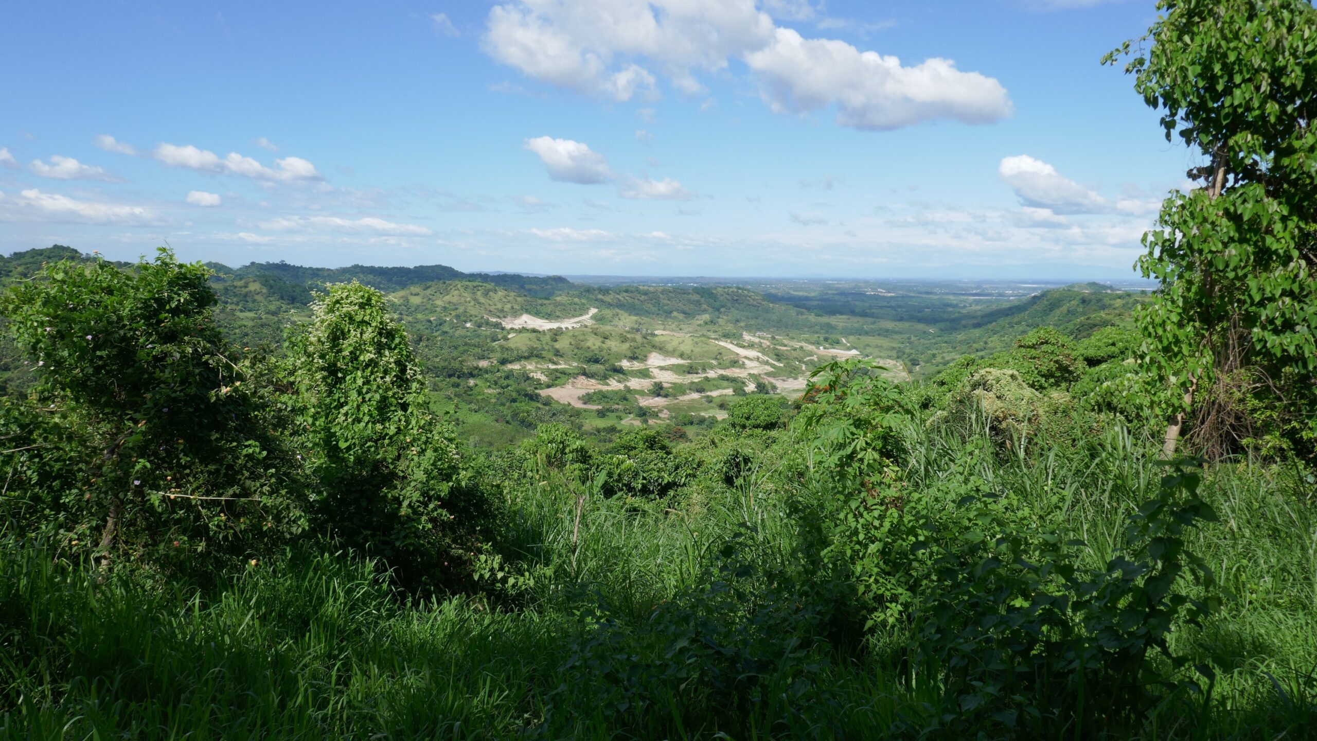 The economic, environmental and social benefits of landscape-first ...