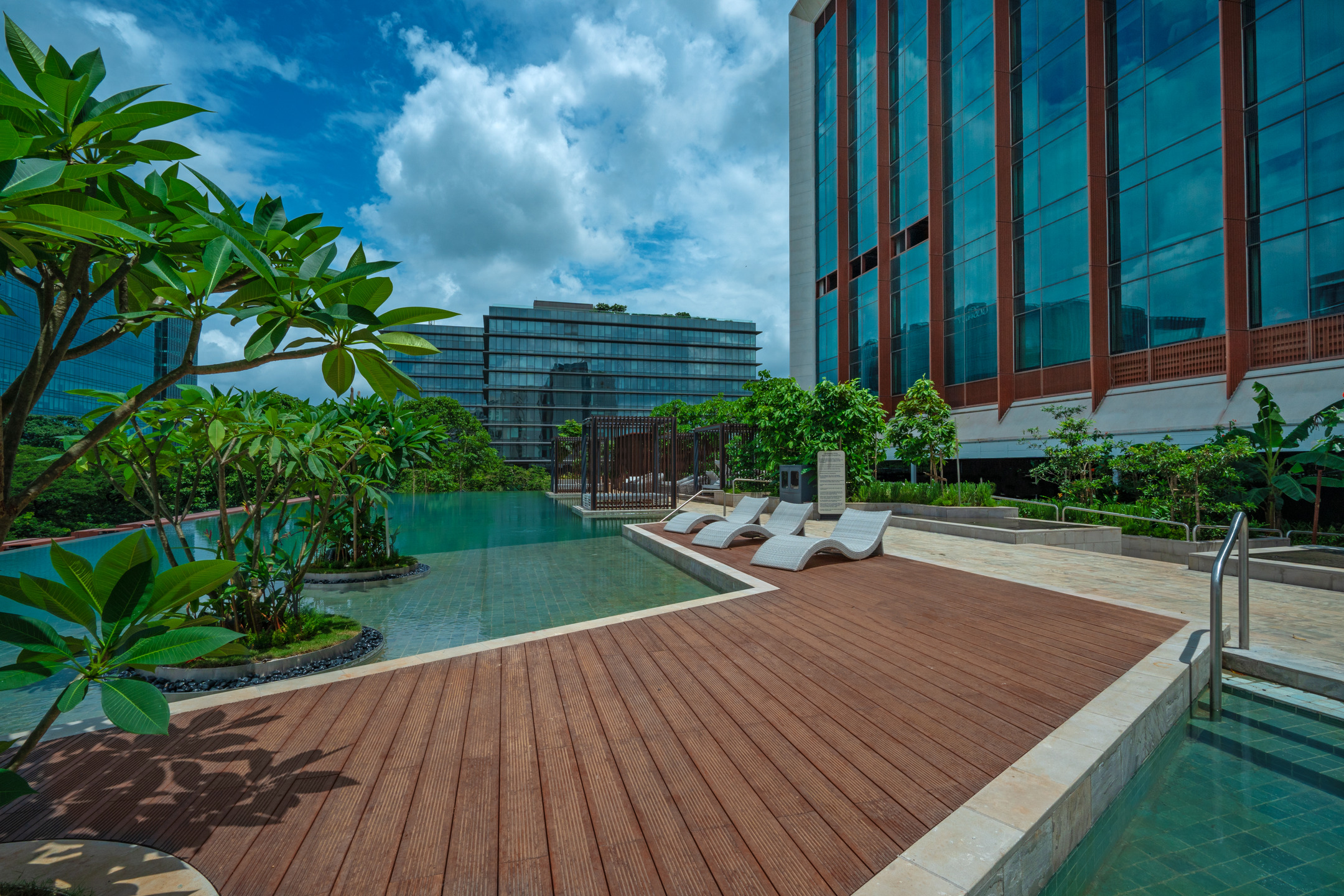 Taj The Trees | WATG