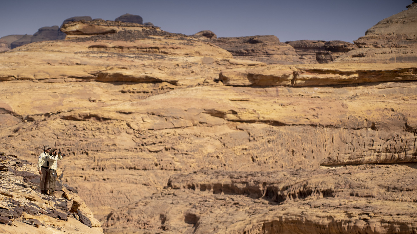 Sharaan National Park | WATG